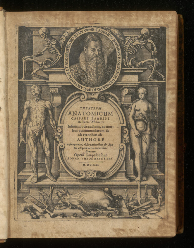 Merian, Titelblatt, Bauhin, Theatrum anatomicum, 1621 – Bebilderung der ...